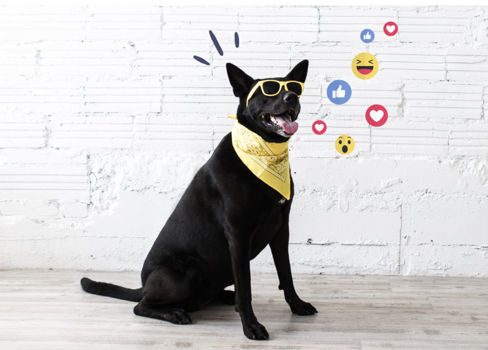 Why Dentists Should Leverage Social Media For Patient Engagement and ...